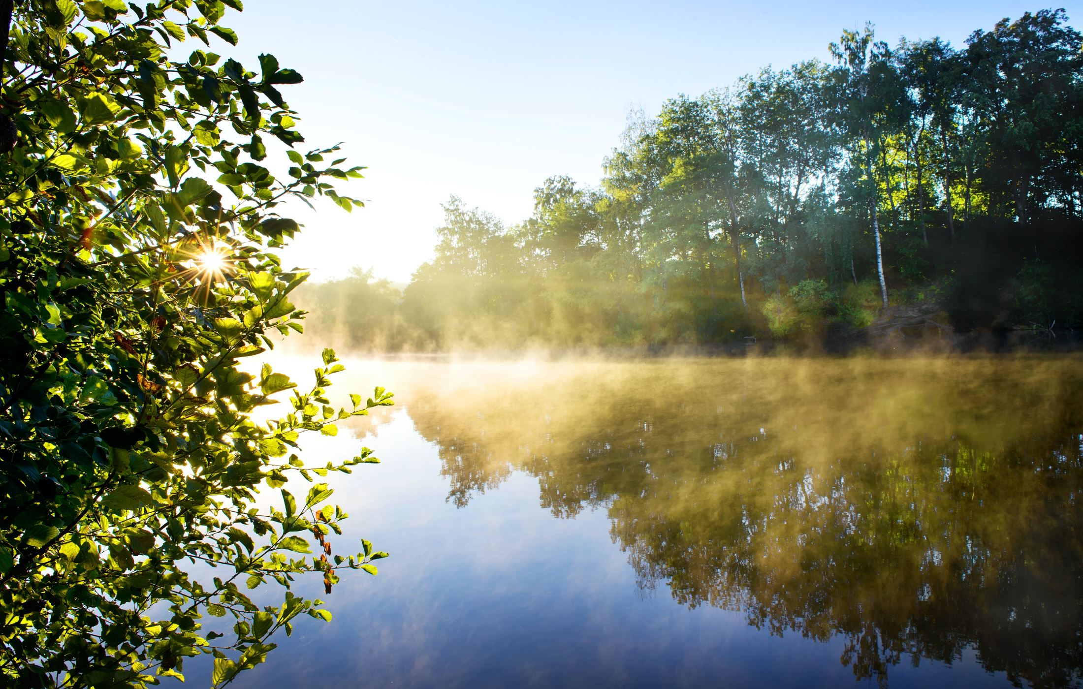 Murray County, GA - Official Website | Official Website